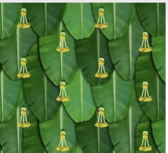 How To Make Banana Leaf Backdrop at Madeleine Frayne blog