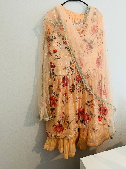 PunarviAuthentic|PreLoved|SustainablePeach color trendy sharara set