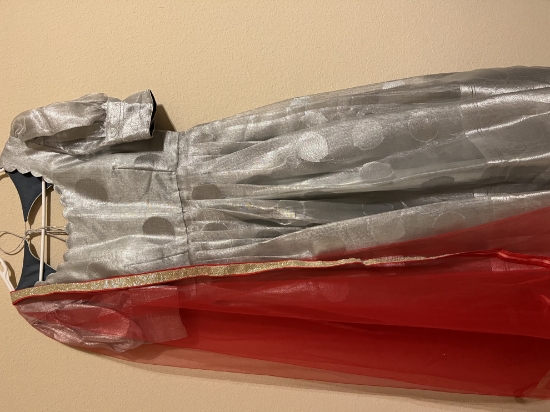 PunarviAuthentic|PreLoved|SustainableGrey Tissue Long Frock with Red ...